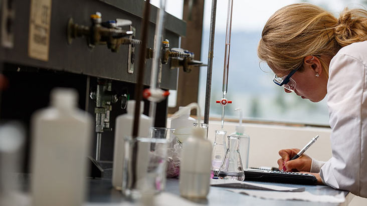 Exploring Possibilities: SOU’s Summer Research Experience